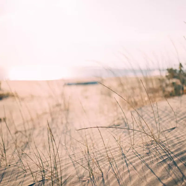 About our Eco Conscious Packaging | Spruce Blog